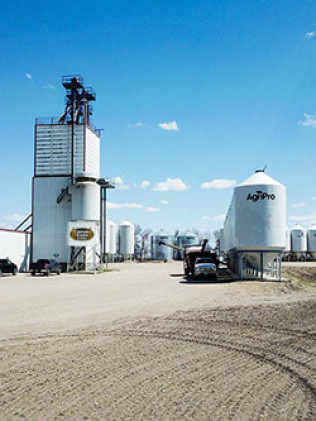 Full-Service Seed Processing | North Dakota | Custom Grain & Seed